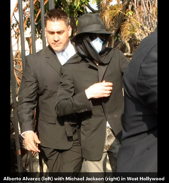 Daily Mail Online | VIP heavies for hire